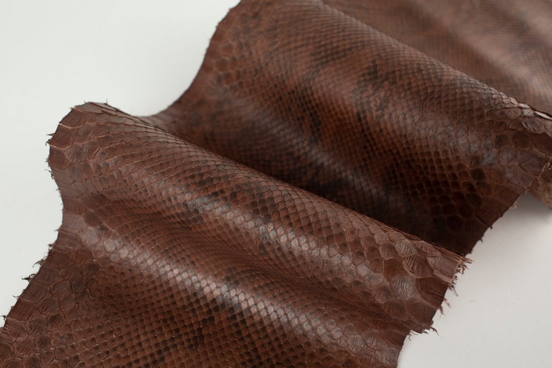 Brown Print ITALIAN Genuine SNAKE AYERS (non Cites) Leather Skin - Etsy UK