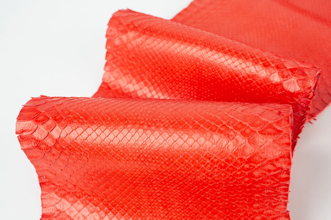 Red Coral ITALIAN Genuine SNAKE AYERS (non Cites) Leather Skin - Etsy