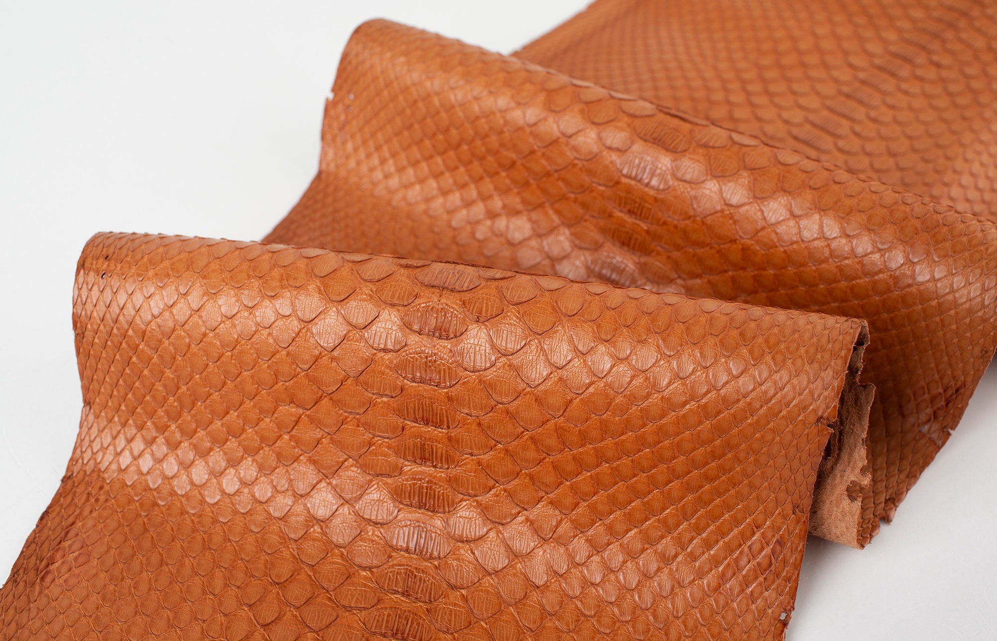 Light Brown ITALIAN genuine SNAKE AYERS non Cites leather | Etsy