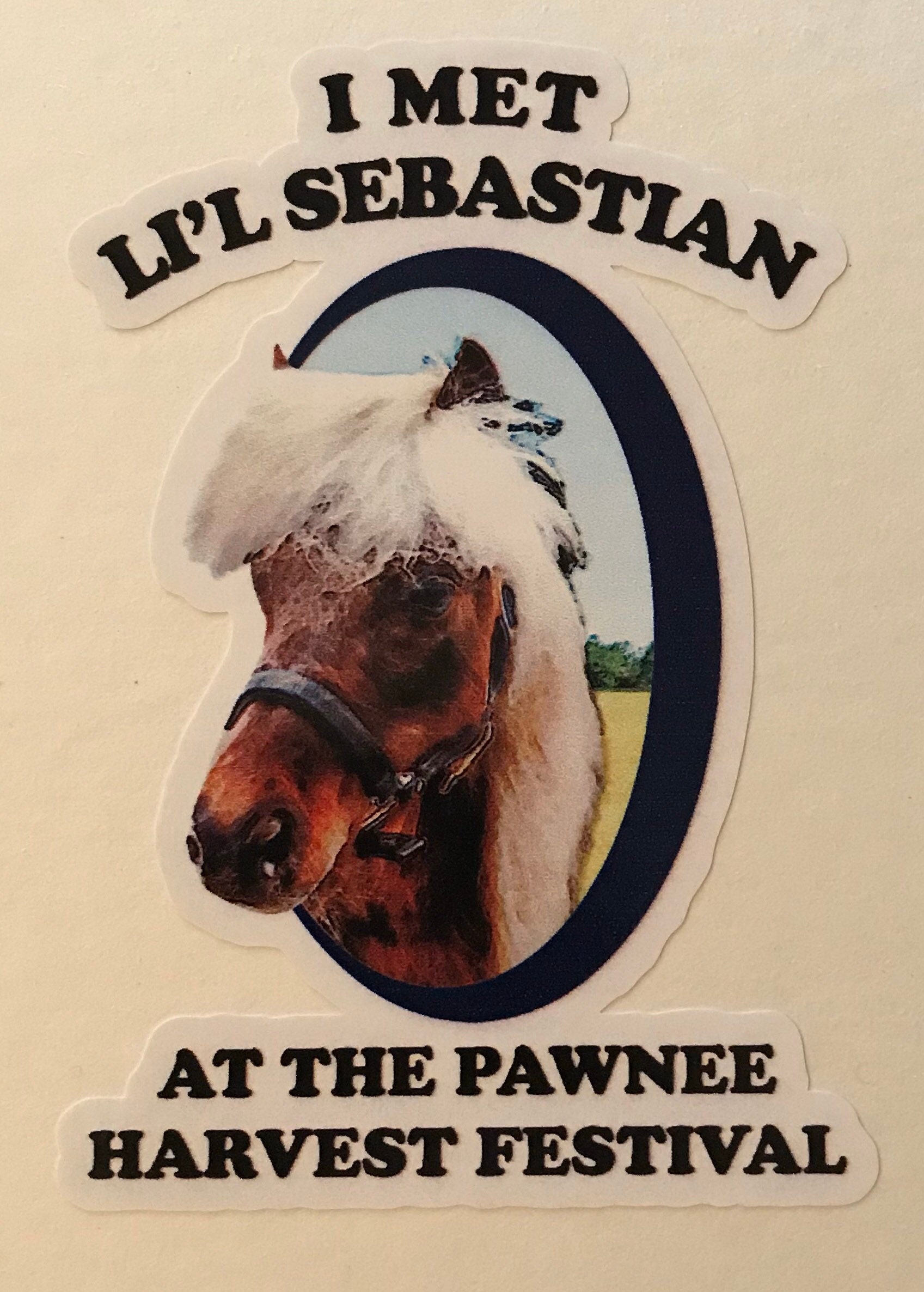 I Met Lil Sebastian.. 4x3 Color Die Cut Vinyl Decal Water / | Etsy