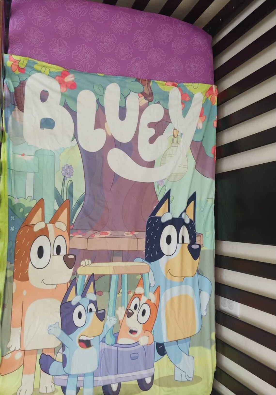 Large Bluey soft minky blankets crib sized | Etsy