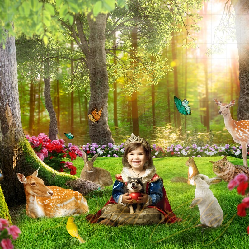 Snow White Theme - Etsy