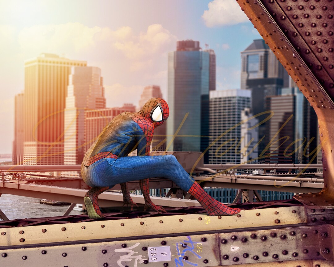 Superhero, Digital Background, Digital Backdrop, Bridge, City, New York ...