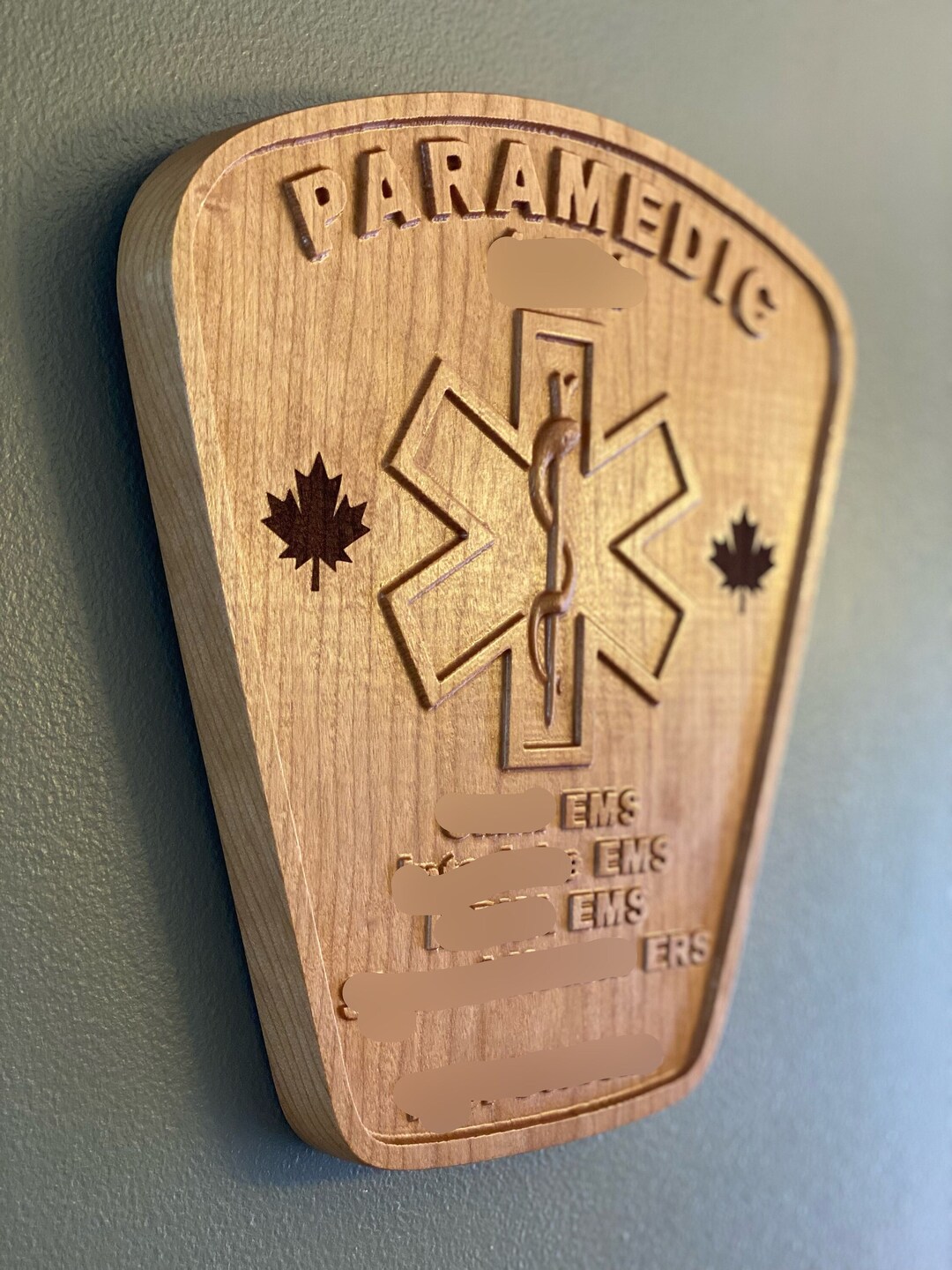 Paramedic Plaque - Etsy