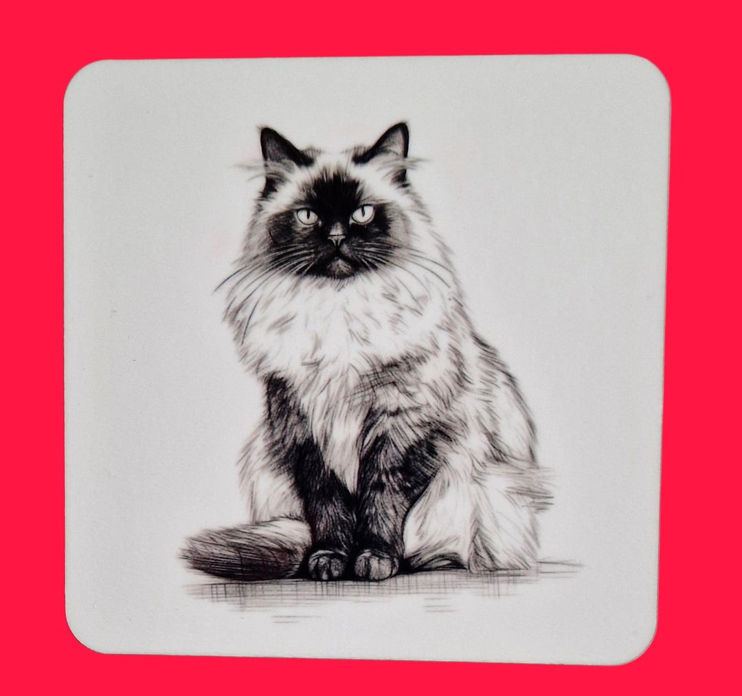 Beautiful Black and White Cat MDF Coasters - Etsy