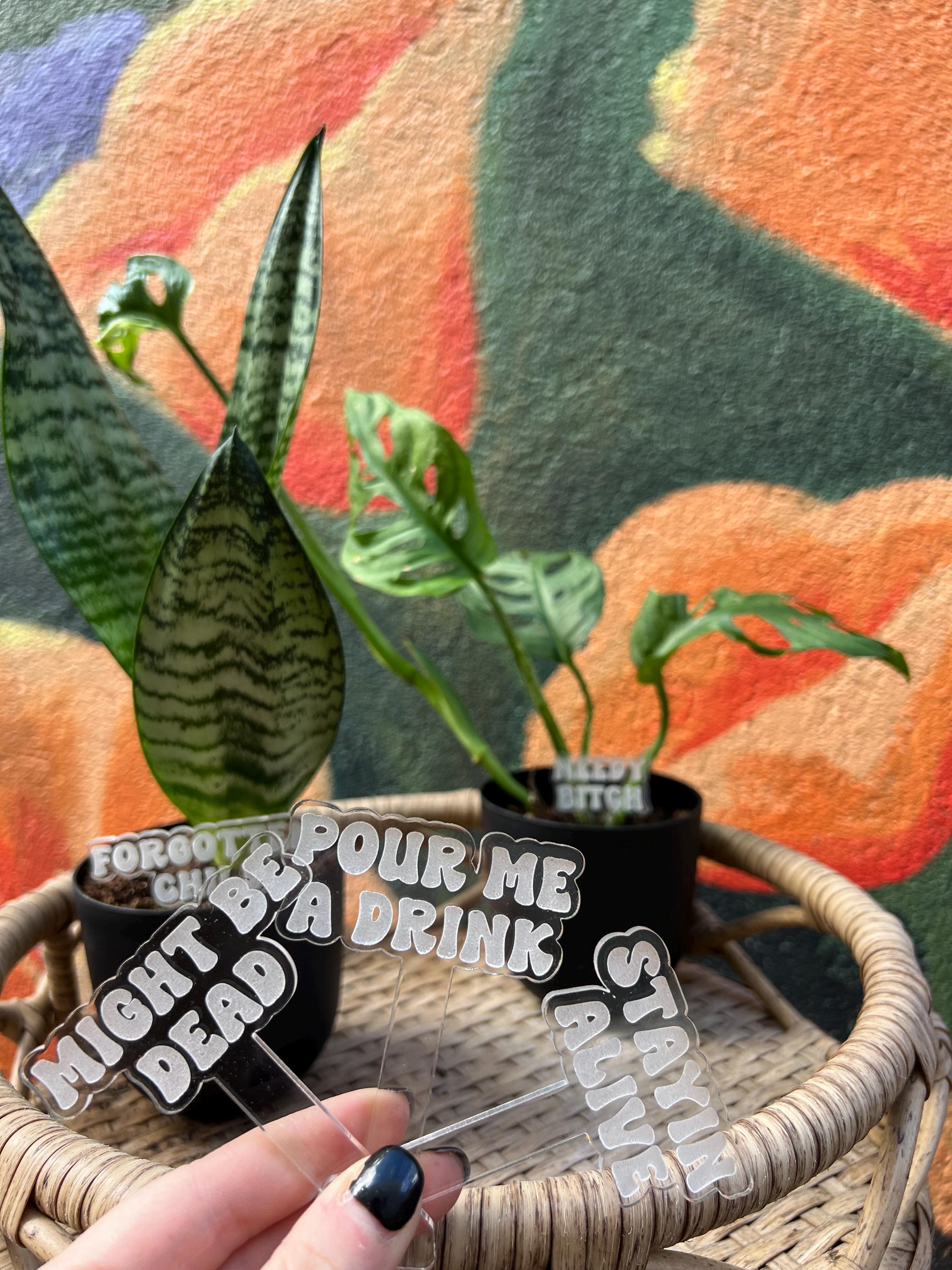 Funny Plant Signs - Etsy