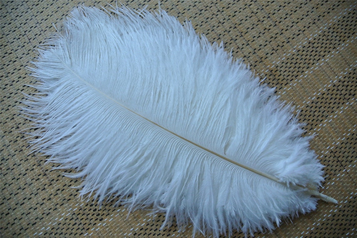 28 Colors 100 Pcs Ostrich Feather Ostrich Plume for Wedding Party ...