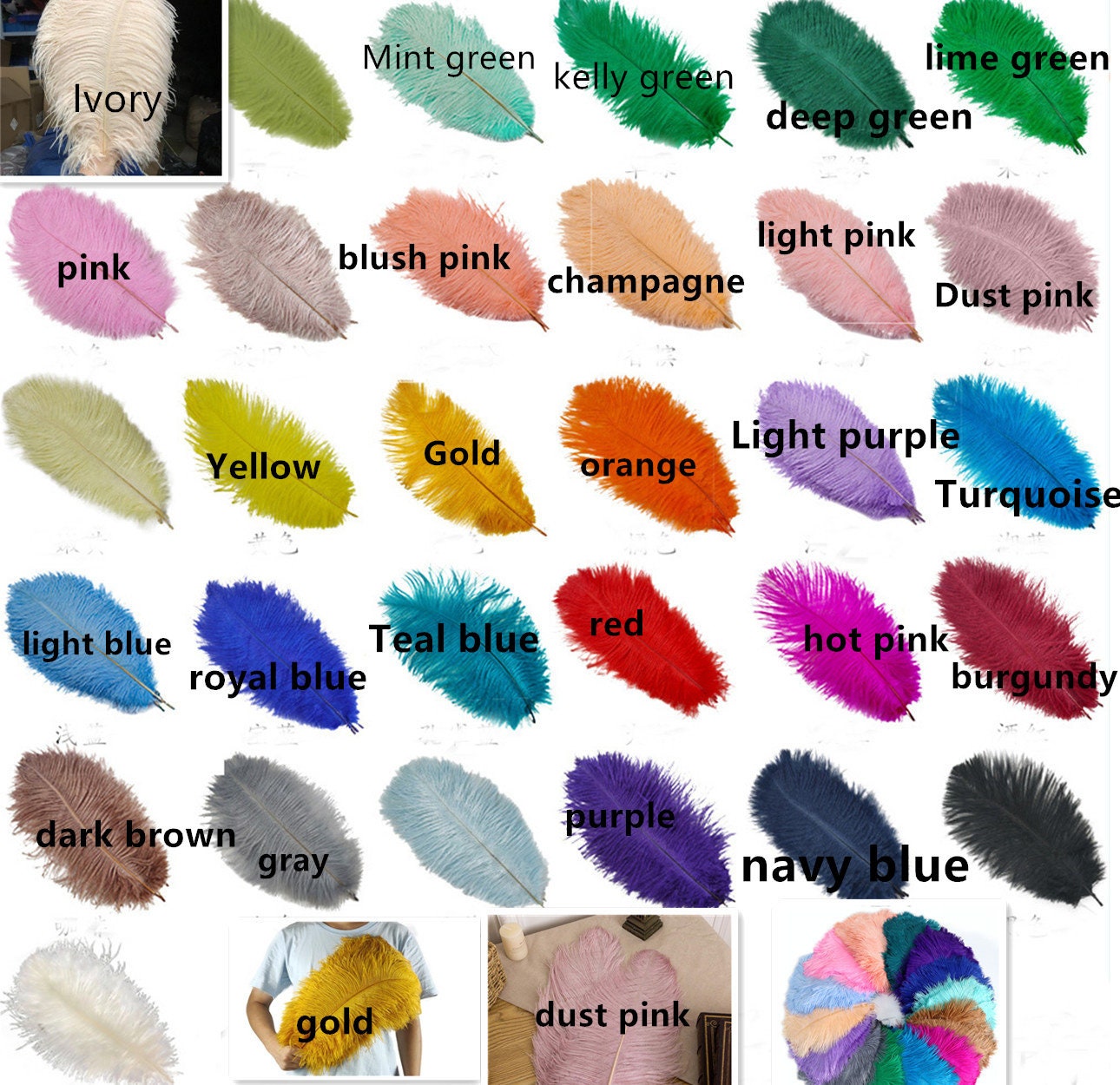 28 Colors 100 Pcs Ostrich Feather Ostrich Plume for Wedding Party ...