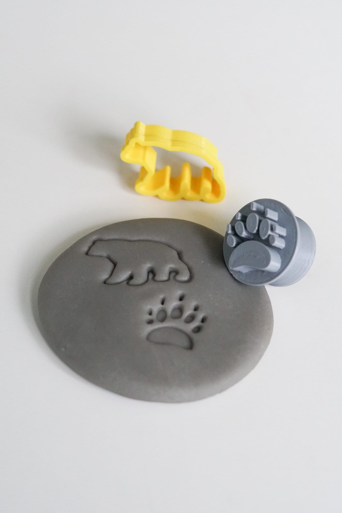 Large Set WILD Animals FEET Teach Kids to Recognize WILD Animals and ...