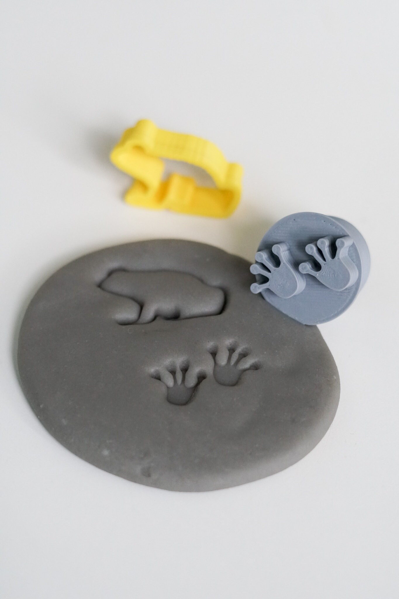 Large Set WILD Animals FEET - Teach Kids to Recognize WILD Animals and ...