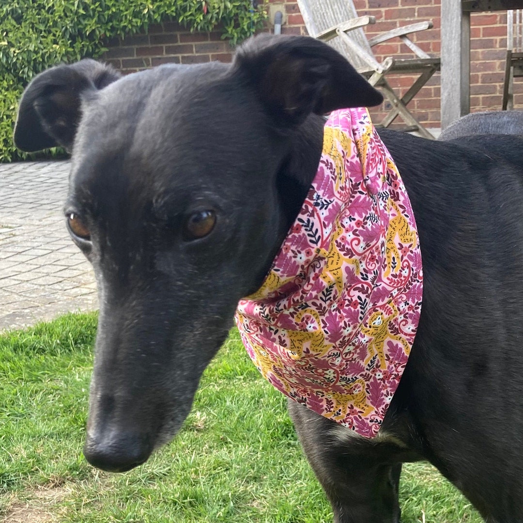 Bandana for Dogs, Pink Monkey Pattern - Etsy