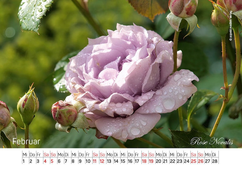 Calendar 2023 Roses Roses/ 2023 Wall Calendar A4 Horizontal/ - Etsy ...
