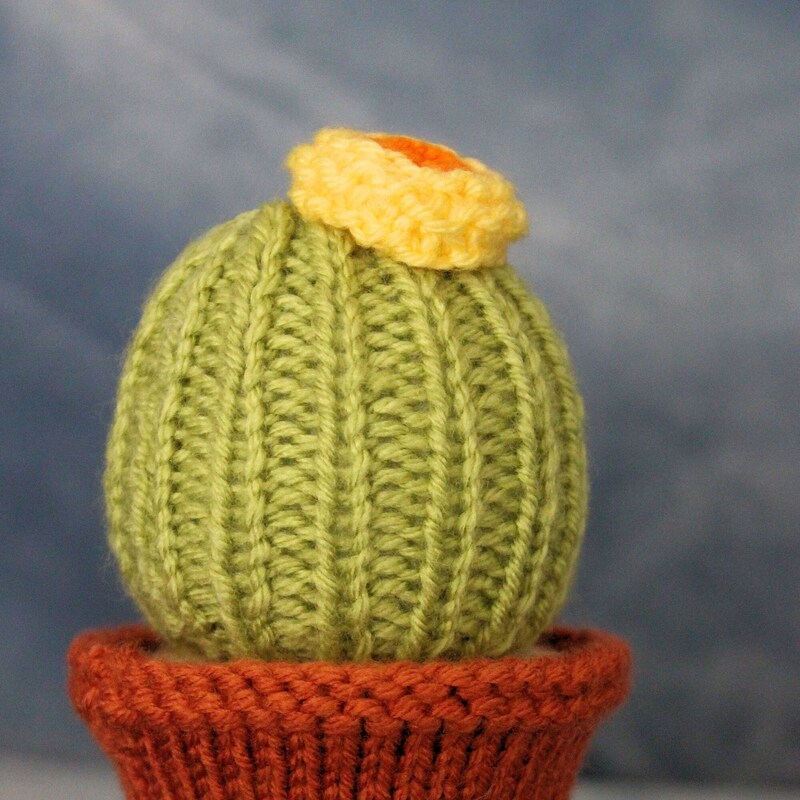 Knit Cactus - Etsy