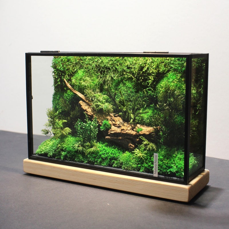 Large Glass Terrarium - Etsy