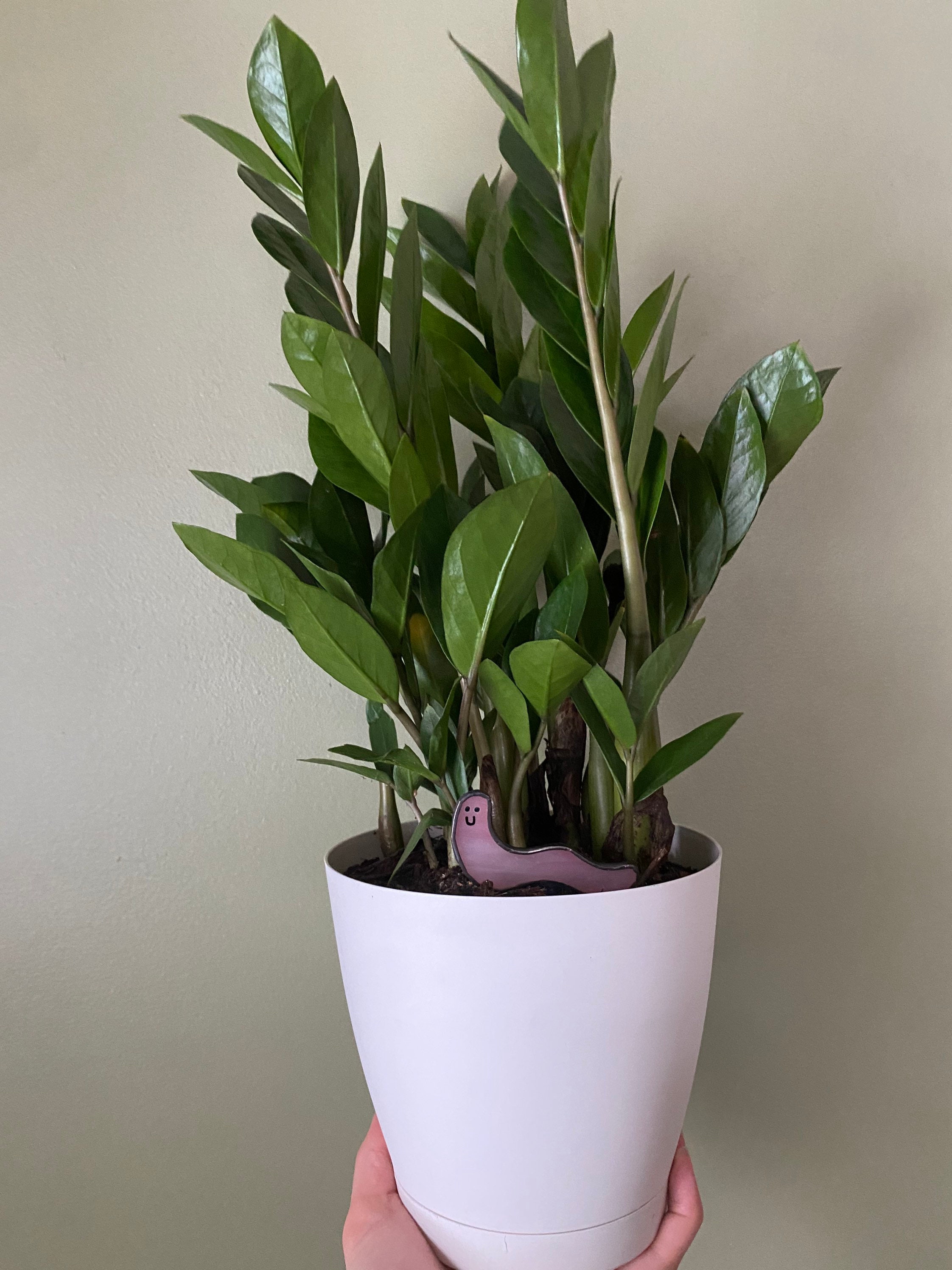 Stained Glass Worm Plant Stake - Etsy