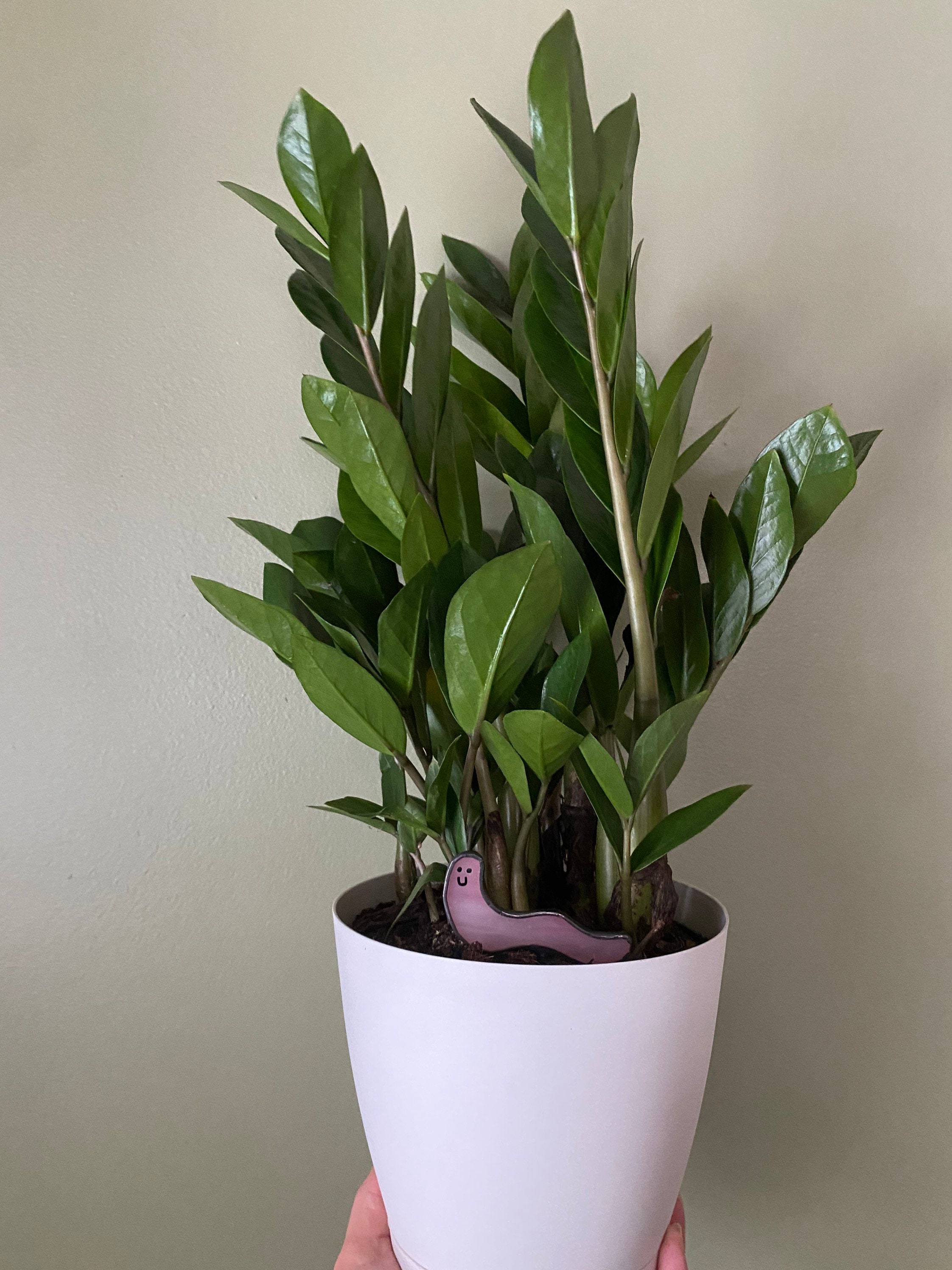 Stained Glass Worm Plant Stake - Etsy