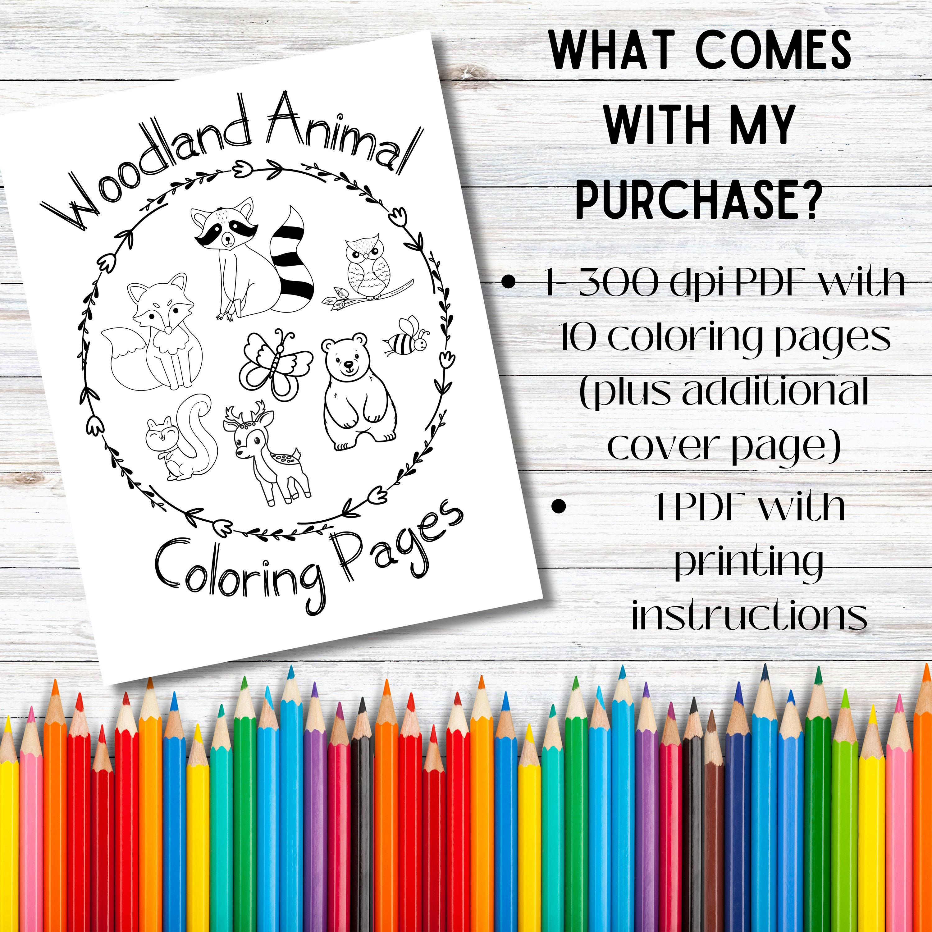 Printable Woodland Animal Coloring Pages, Woodland Animal Coloring Book ...