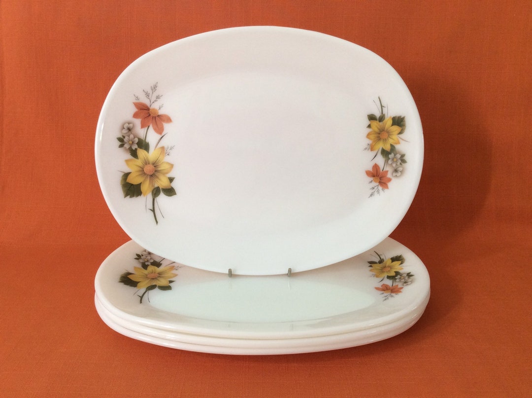 Lovely 1960s JAJ Pyrex Oval Dinner Plates/steak Plates in Autumn Glory ...