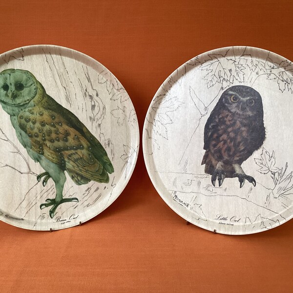 Owl Serving Tray - Etsy