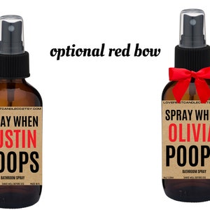 Personalized Room Spray, Poop Spray, Christmas Gift, Stocking Stuffer ...