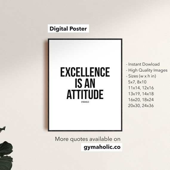 Inspirational Quotes On Excellence