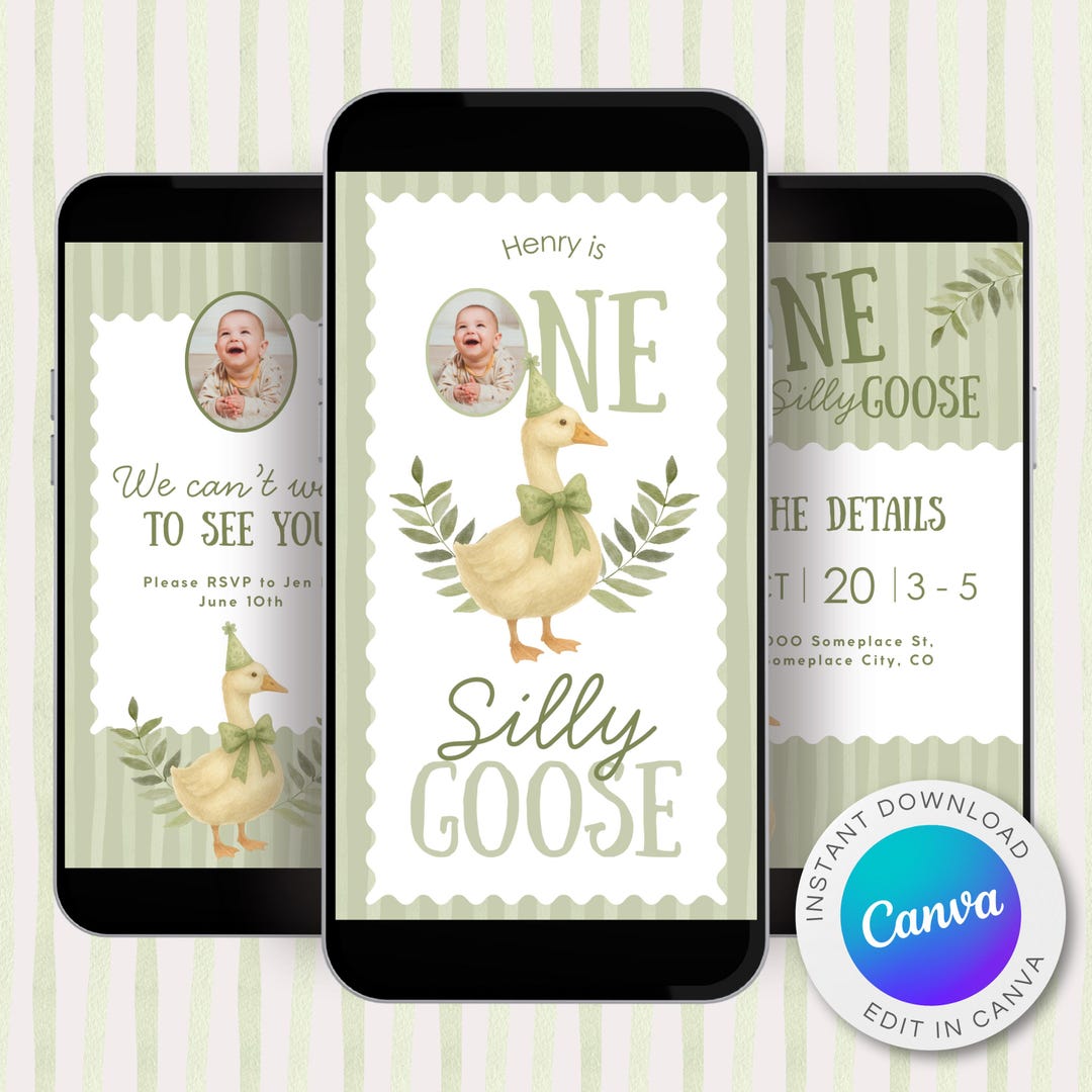 ONE Silly Goose First Birthday | Cottage Core One Year Old Animated ...