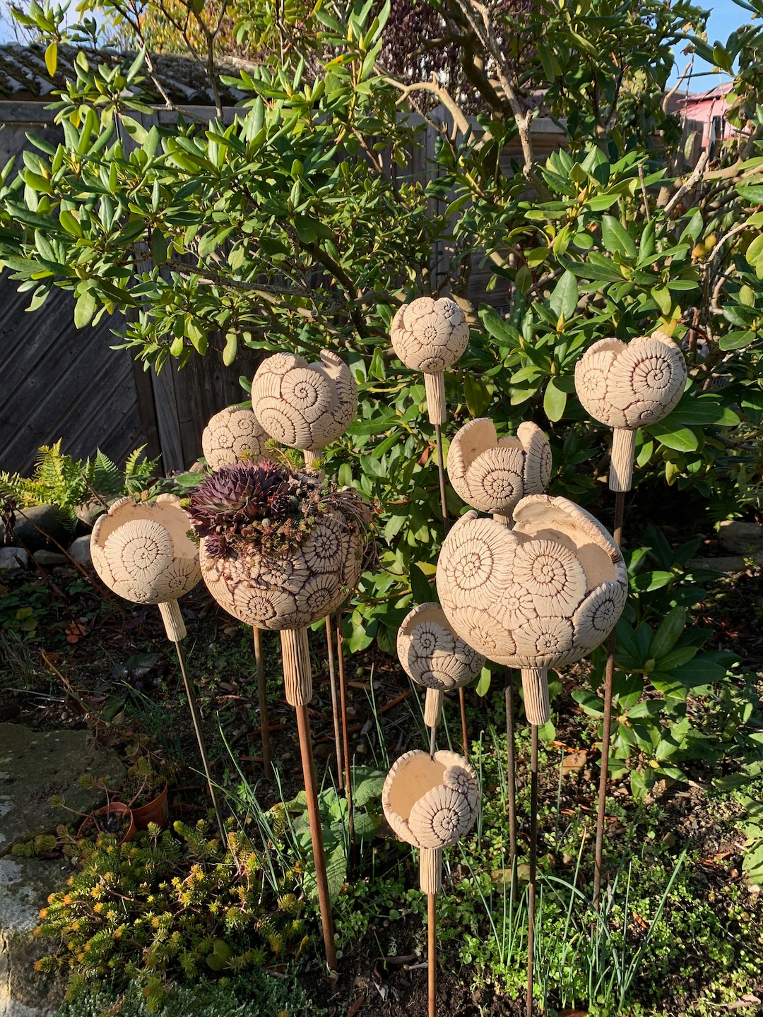 Planter, Ammonite Ball, Plant Ball on Stick - Etsy