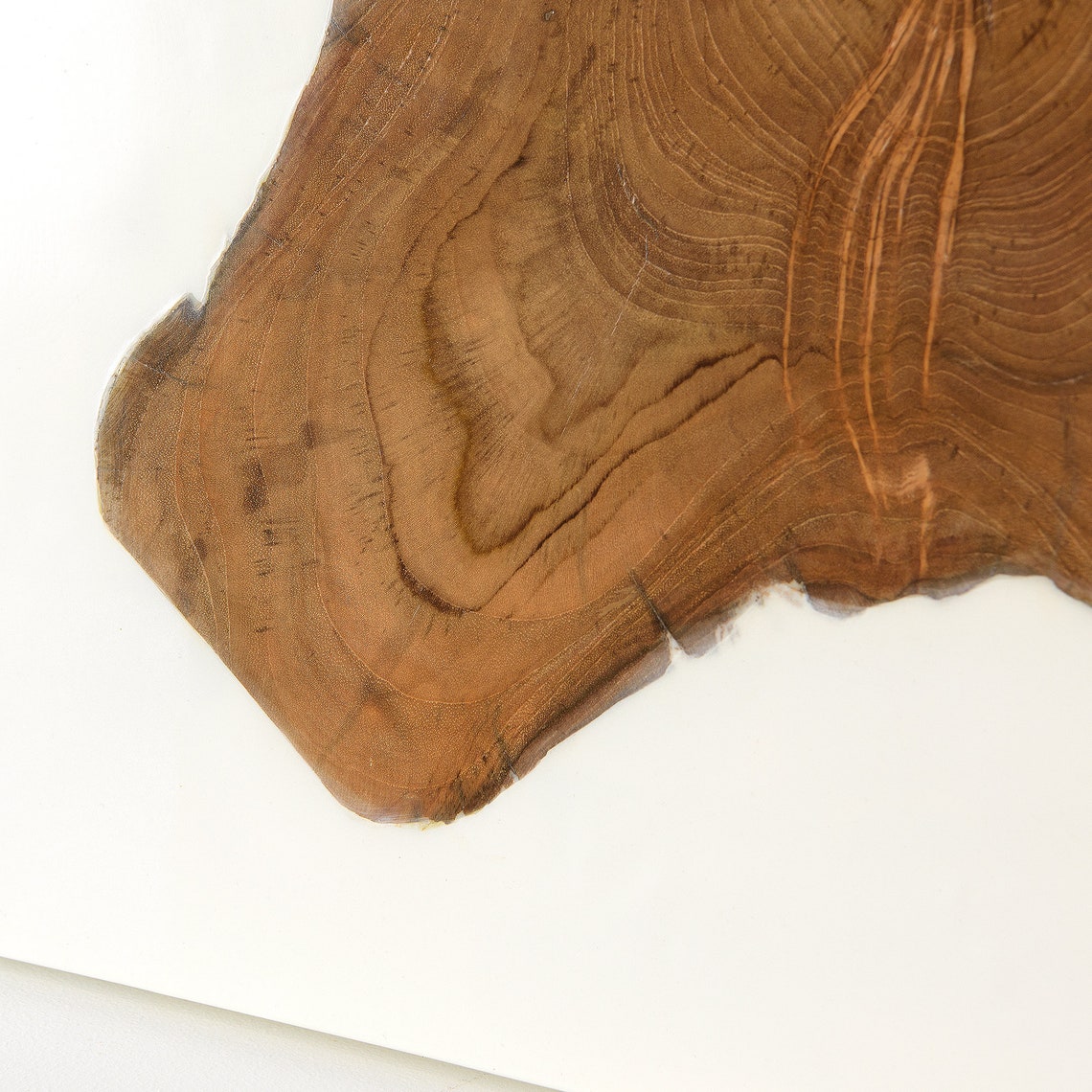 Teak and White Resin Wall Décor - Etsy