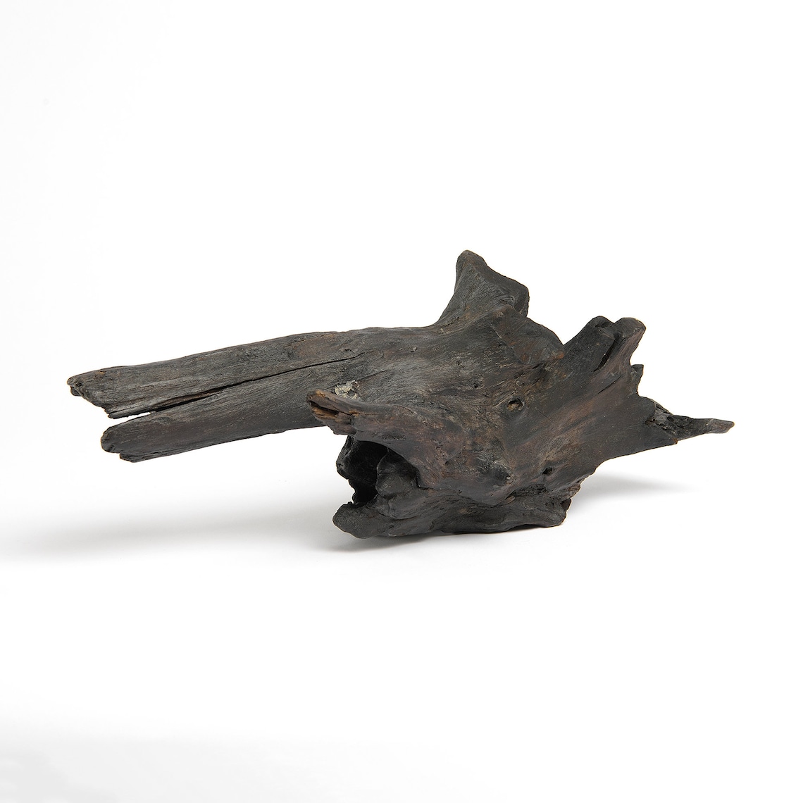 Teak Root Sculpture - Etsy