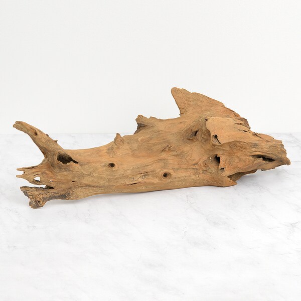 Teak Root - Etsy