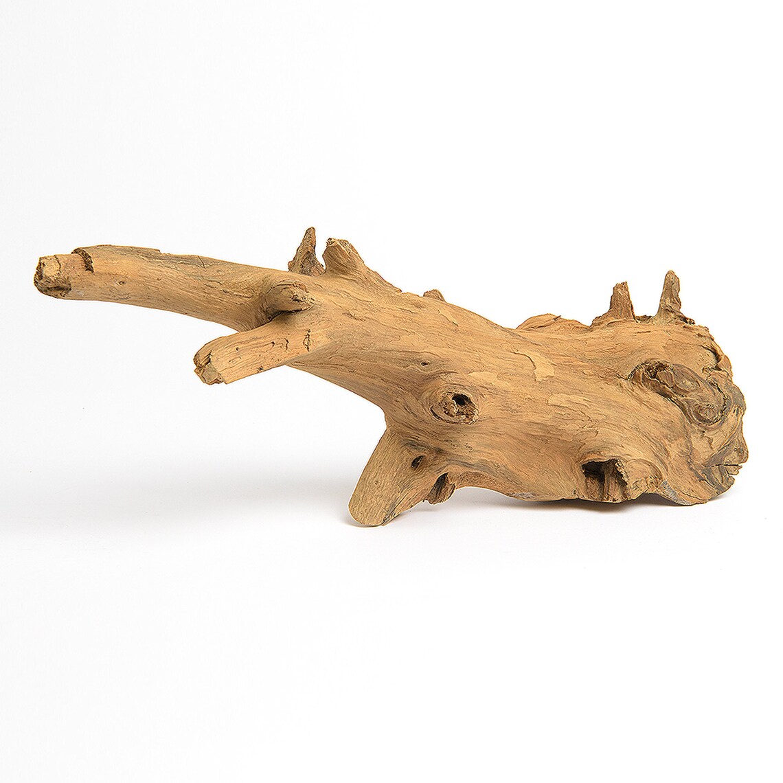 Teak Root Sculpture - Etsy