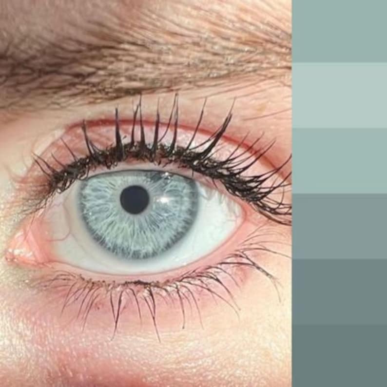 Eye Colors Procreate Color Palette - Etsy