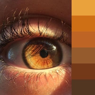 Eye Colors Procreate Color Palette - Etsy