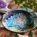 Australian Half Polished Abalone Shell - “large Half Polished Shell ...