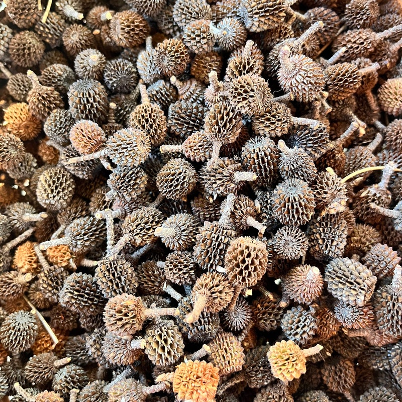 Small Pine Tree Decor - Etsy