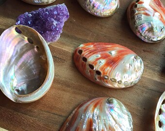 Shell | Etsy