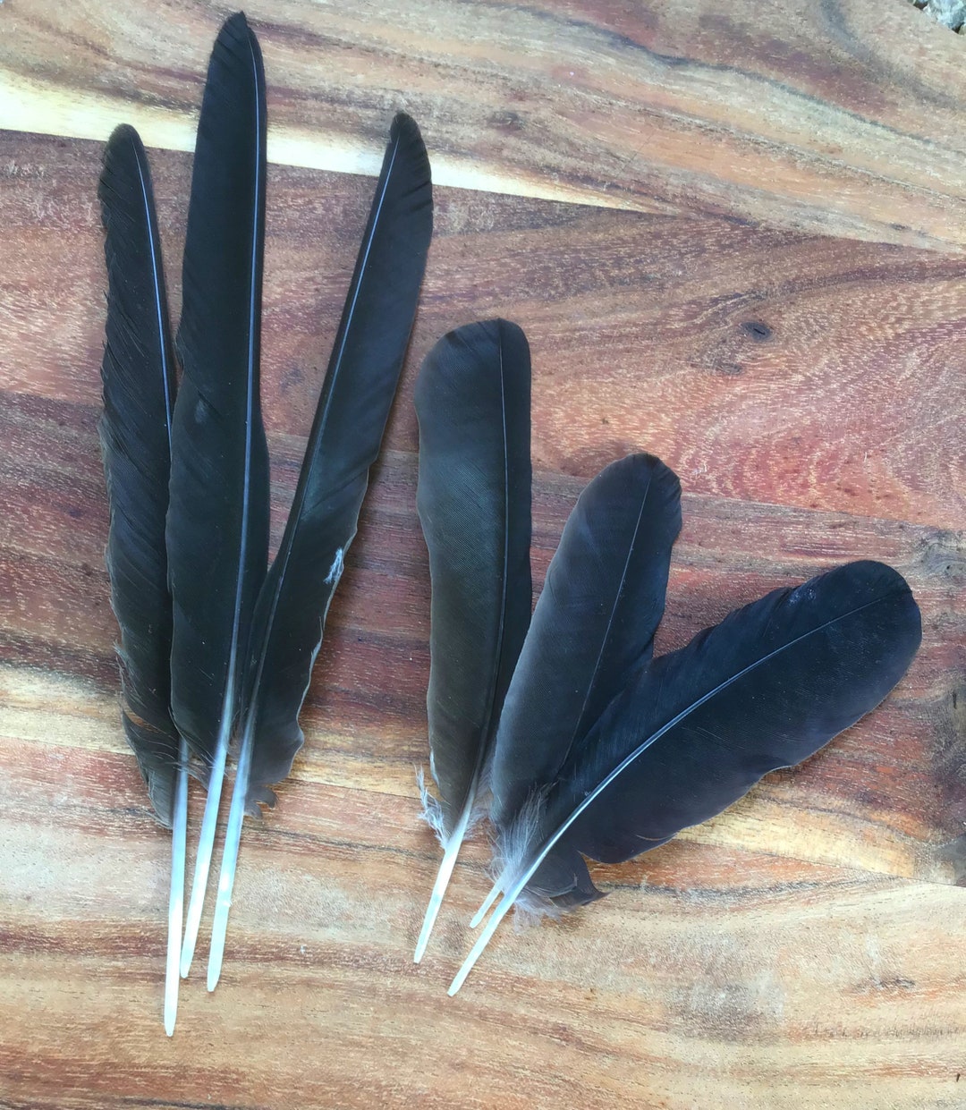Raven Crow Feathers - Etsy