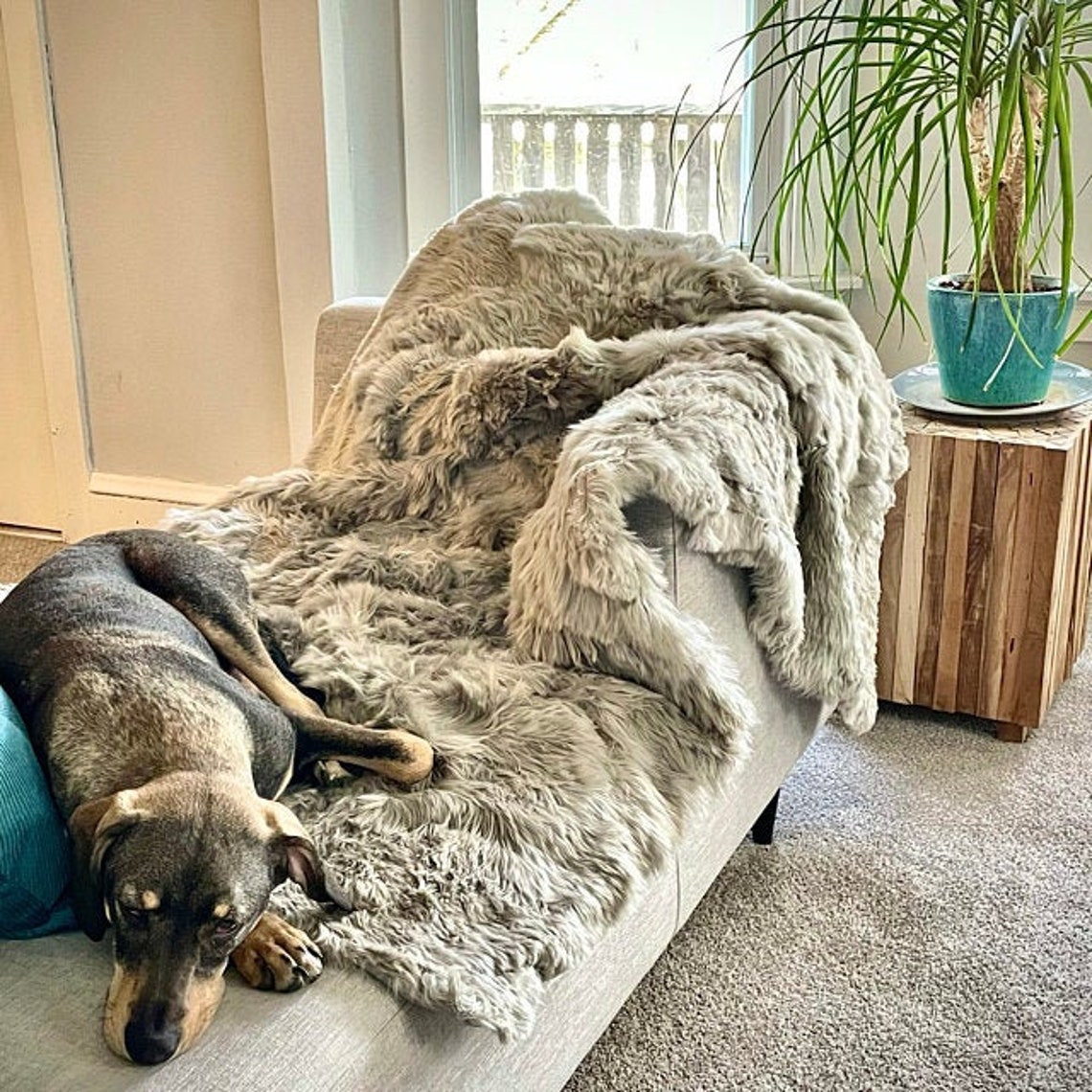 Gray Luxurious Alpaca Fur Throw Alpaca Real Fur Throw - Etsy