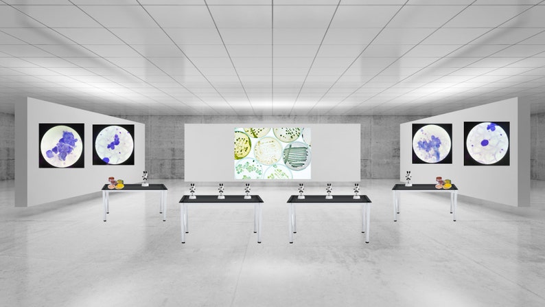 Virtual Lab Background for Remote Learning - Etsy