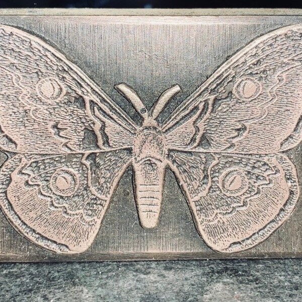 Moth Stamp - Etsy