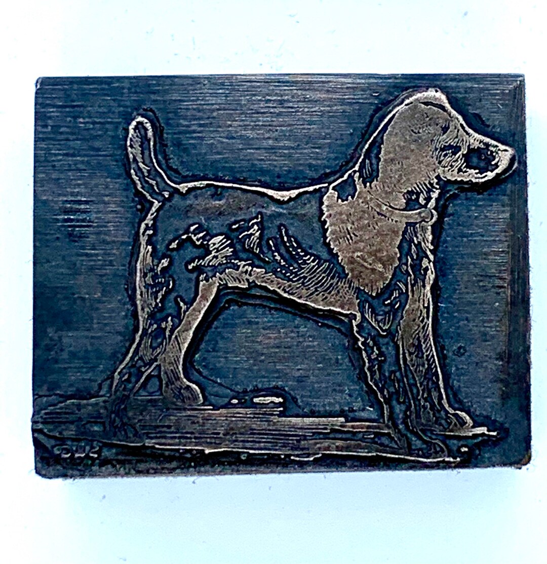 Cold Cast Bronze Pointer Dog Stamp - Etsy
