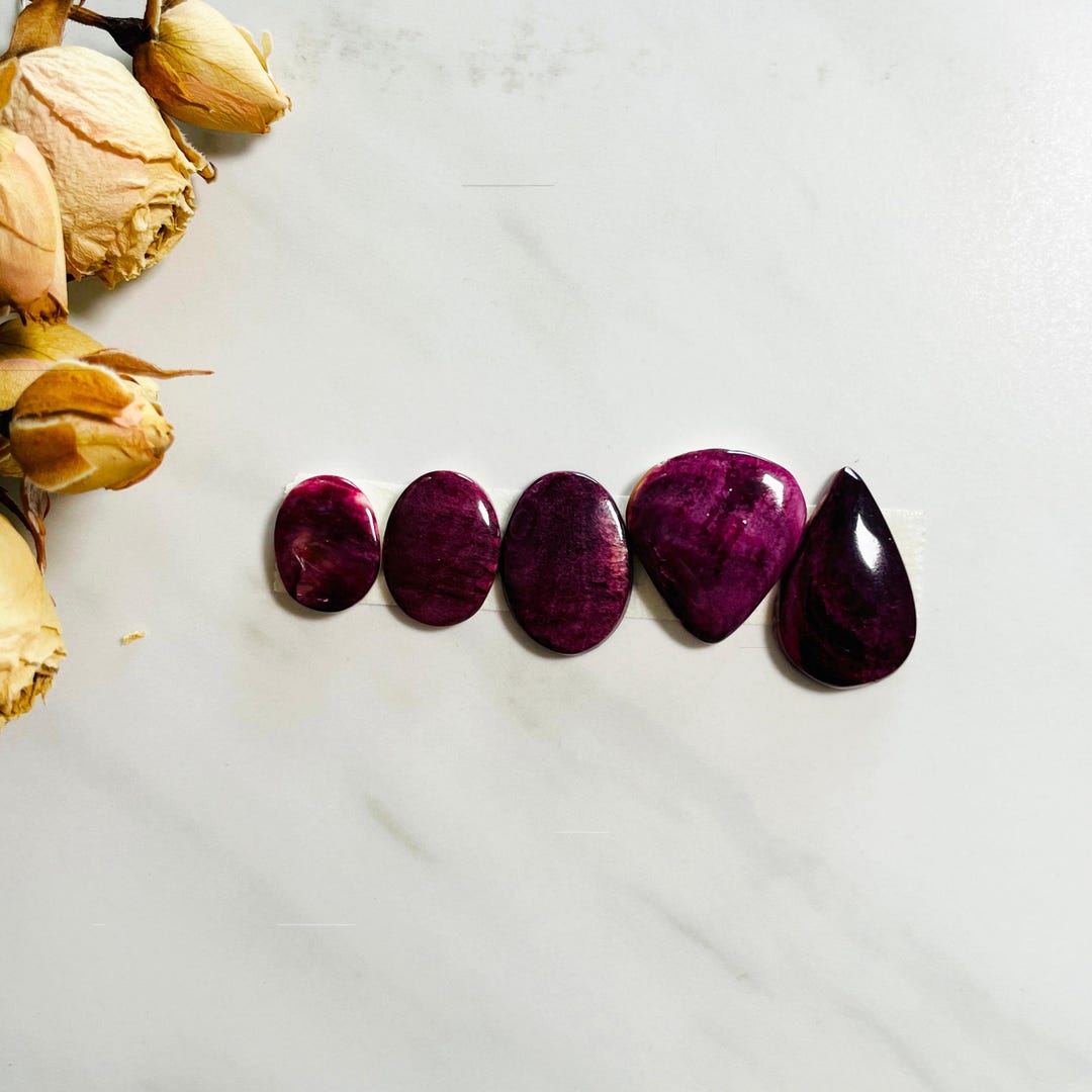 Medium Purple Mixed Spiny Oyster, Set of 5 - Etsy