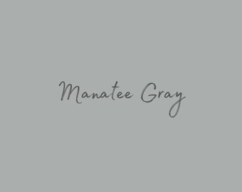 Dixie Belle Paint Chalk Mineral Paint Manatee Gray - Etsy