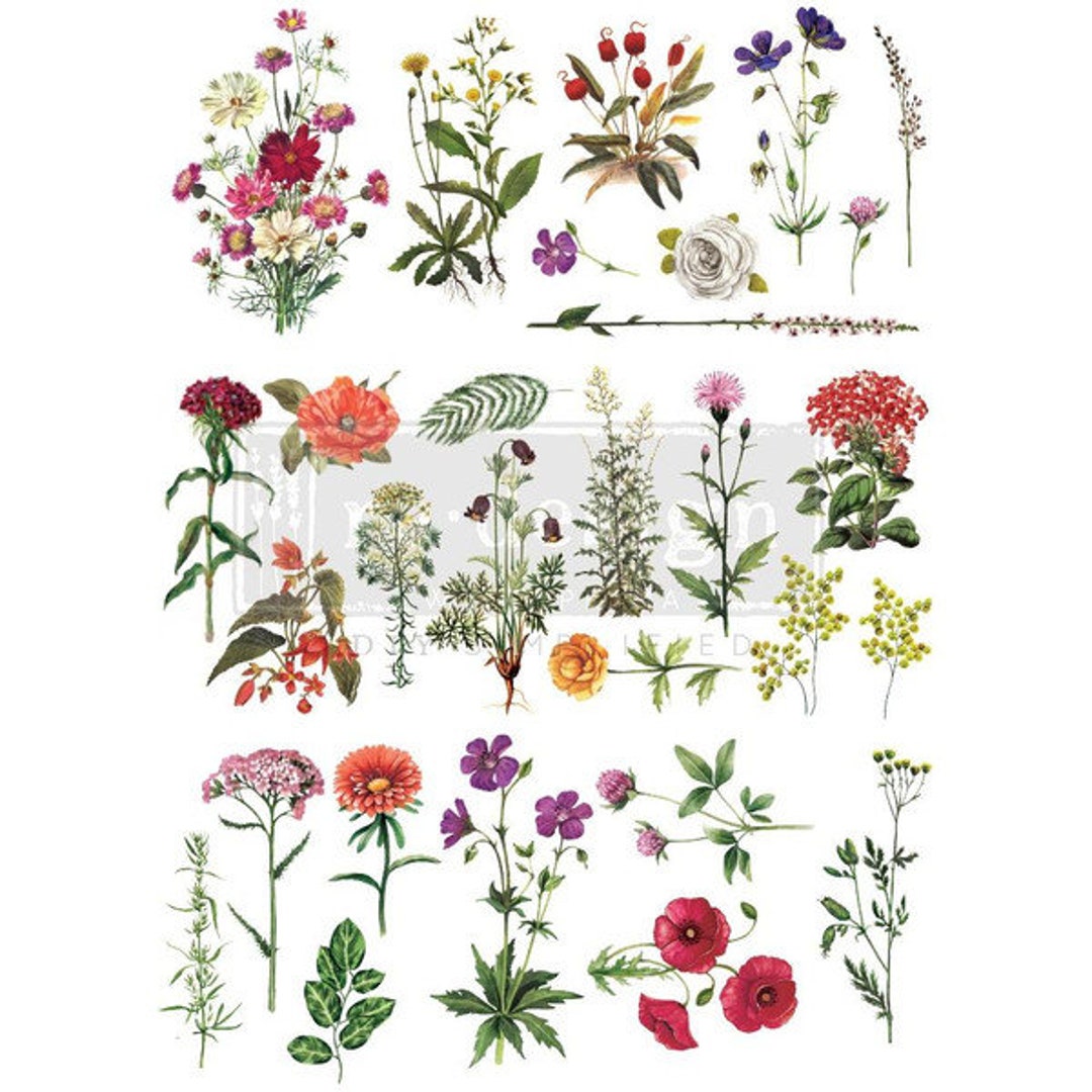 Prima Marketing - Floral Collection 22"x32" Prima Re-design Decor ...