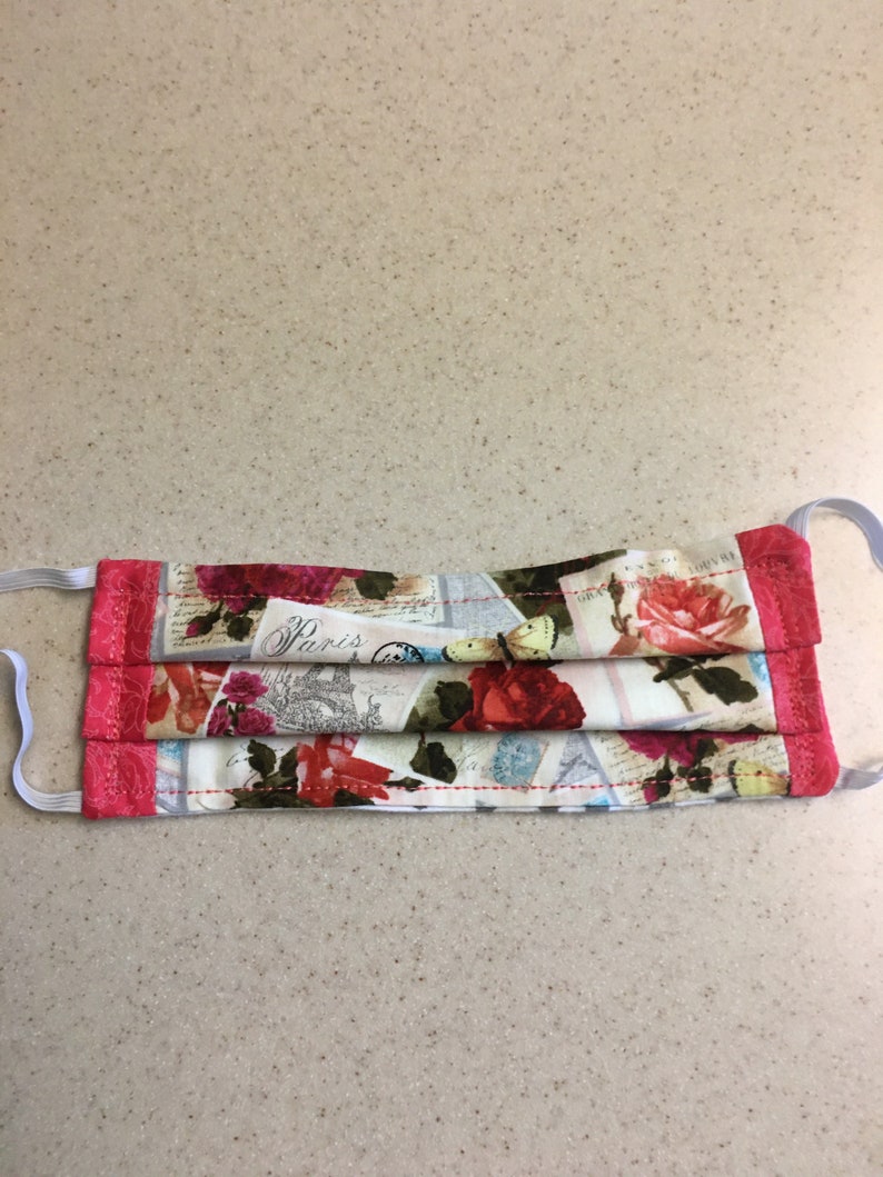 Roses in Paris Washable Face Mask With Nose Wire - Etsy
