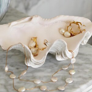 SPECIAL PRICE Ruffled Giant Clam , Birthday Day Gift, Faux , Matte ...