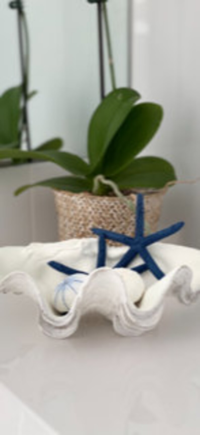 SPECIAL PRICE Ruffled Giant Clam Birthday Day Gift Faux | Etsy