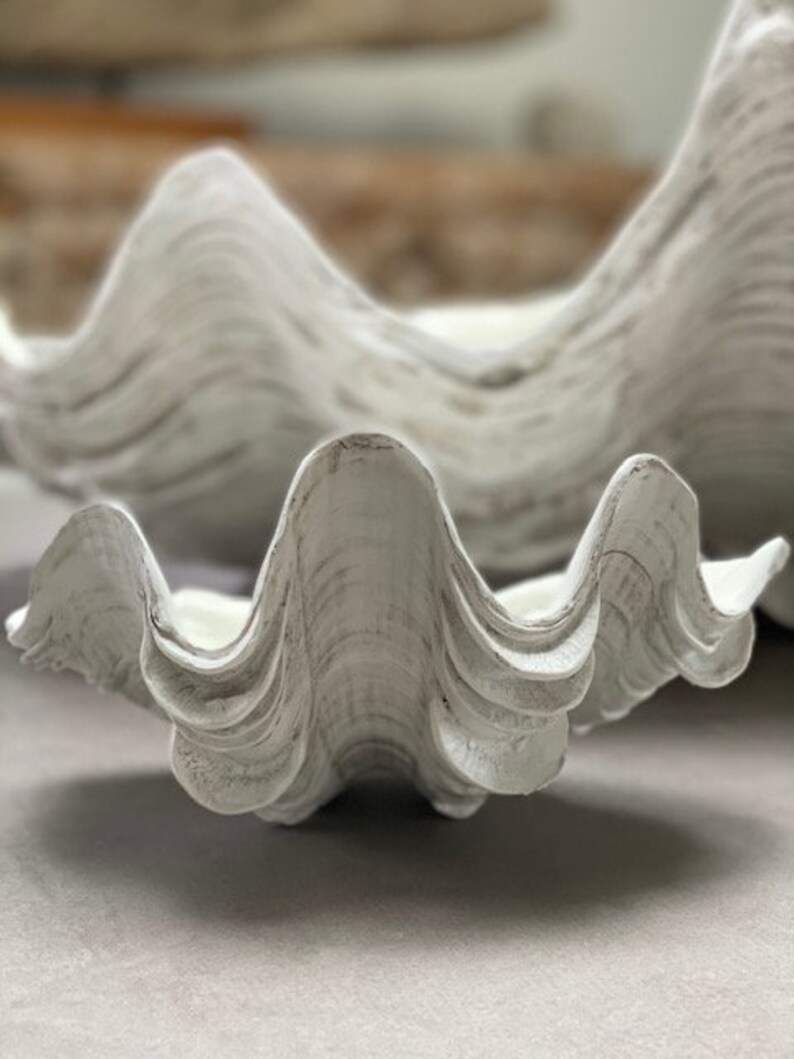 SPECIAL PRICE Ruffled Giant Clam Birthday Day Gift Faux | Etsy