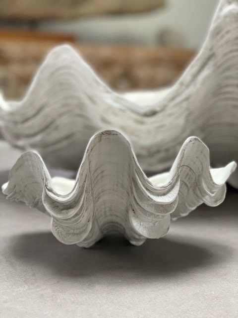 SPECIAL PRICE Ruffled Giant Clam Birthday Day Gift Faux | Etsy