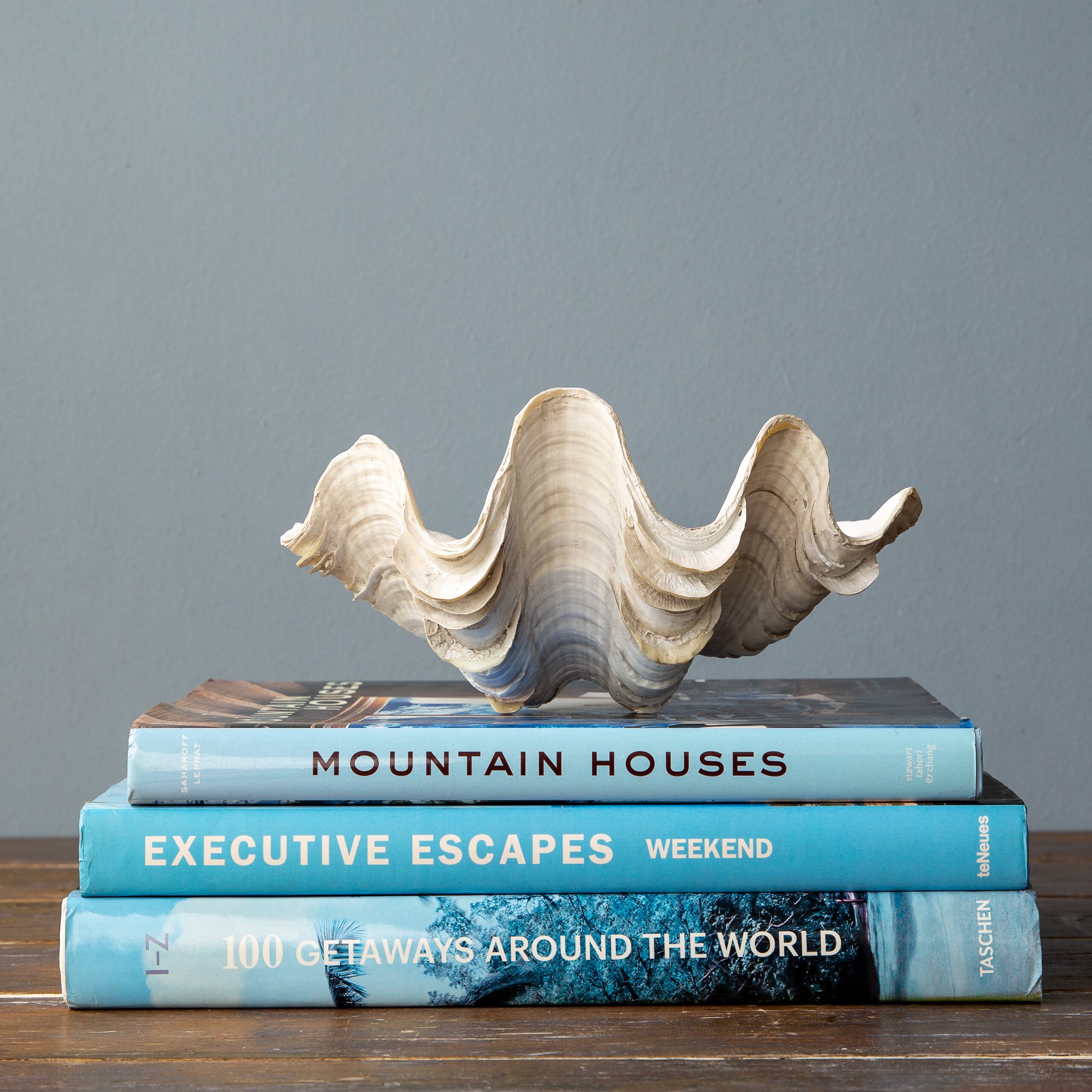 SPECIAL PRICE Ruffled Giant Clam Birthday Day Gift Faux | Etsy